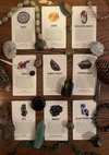 Rooted In Earth- Earth Element Crystals — Wicked Obscura Apothecary
