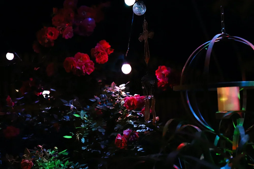 How to Create a Magical Moon Garden in Your Backyard — Wicked Obscura ...