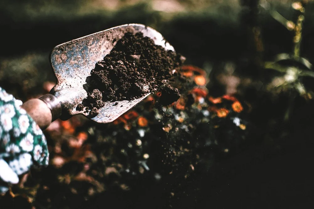 Finding Summer Magic Hobbits-Style: Embracing Earth and Sun Magic ...