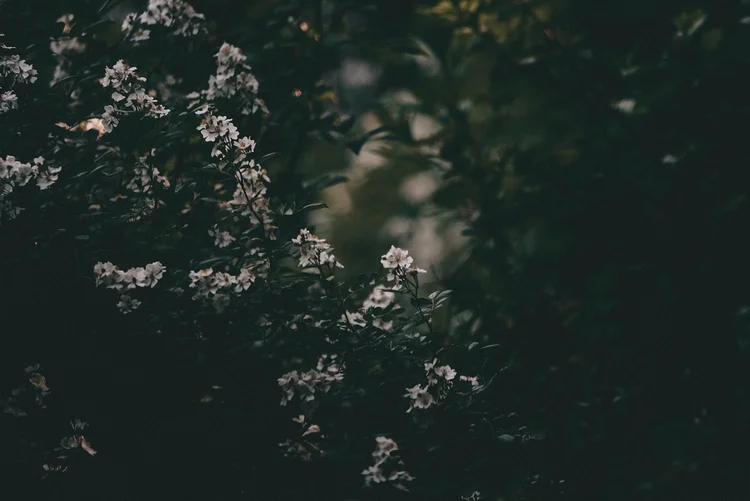 How to Create a Sacred Garden: A Magical Space for Ritual and Spiritual ...
