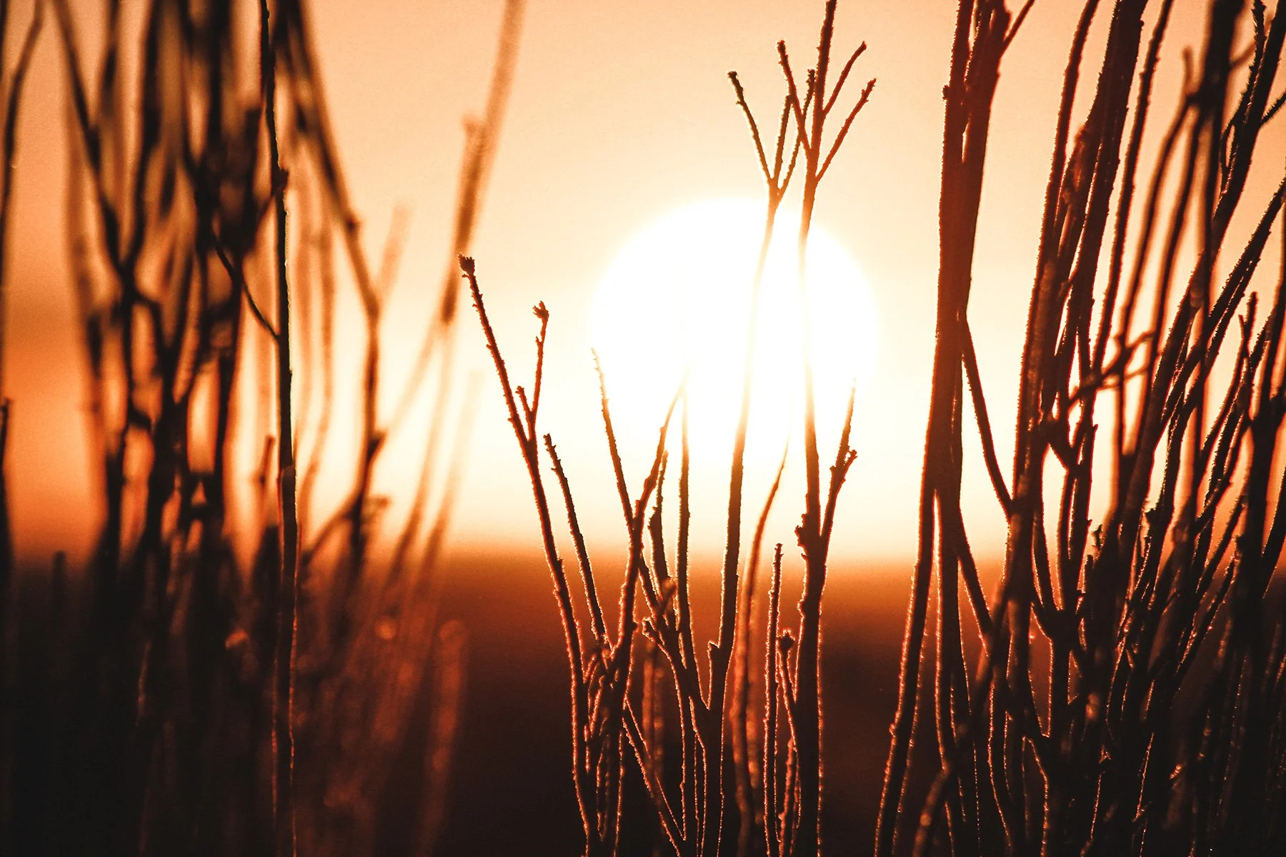 Solar Sigils: Drawing Power from the August Sun — Wicked Obscura Apothecary