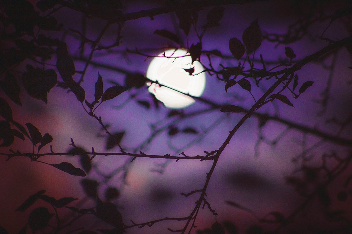 The Worm Moon Beckons: Full Moon Ritual and Insights — Wicked Obscura ...
