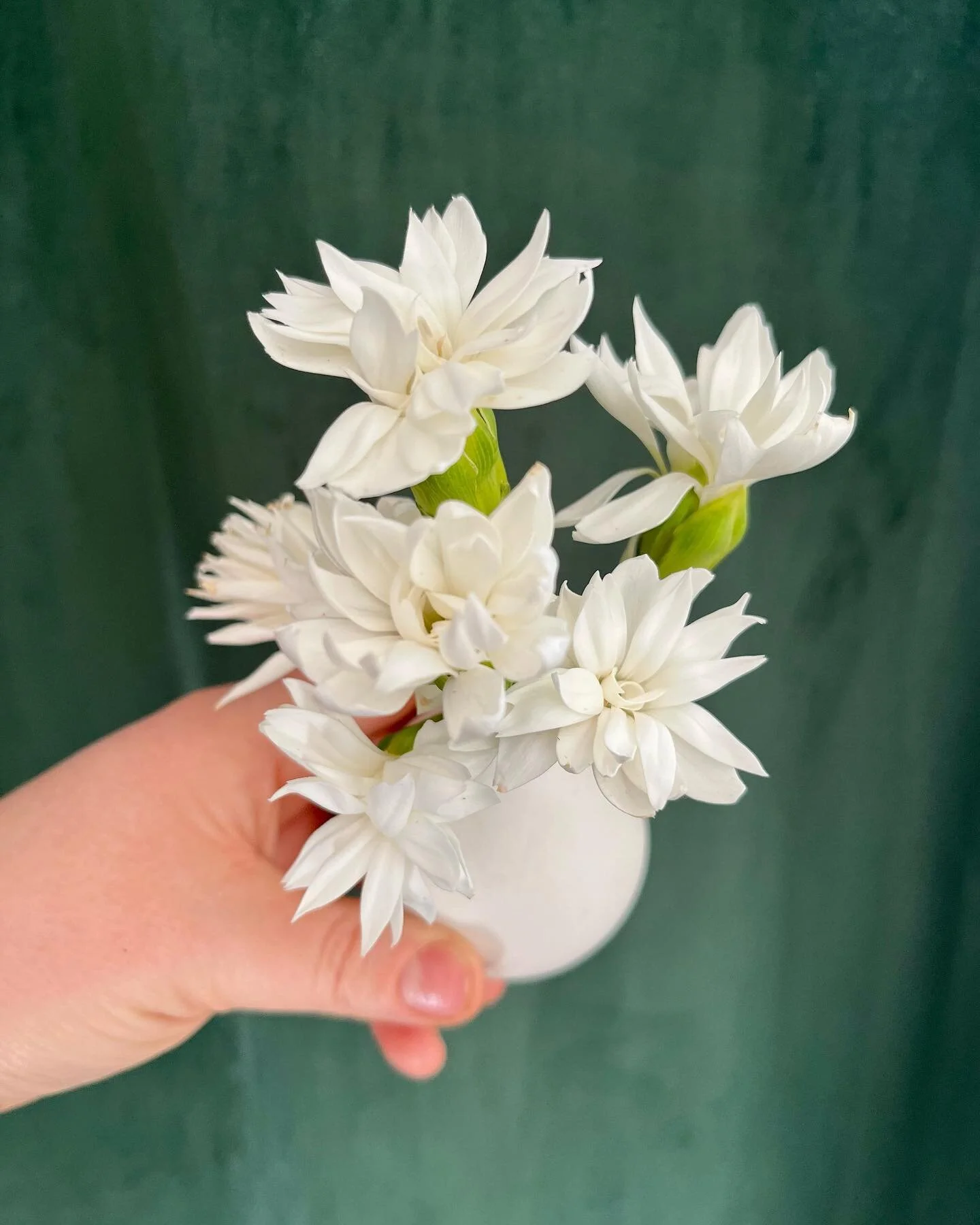 Leah Erickson Floral