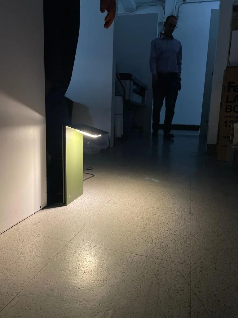 PURALUCE & TWICE BRIGHT — Wald Studio