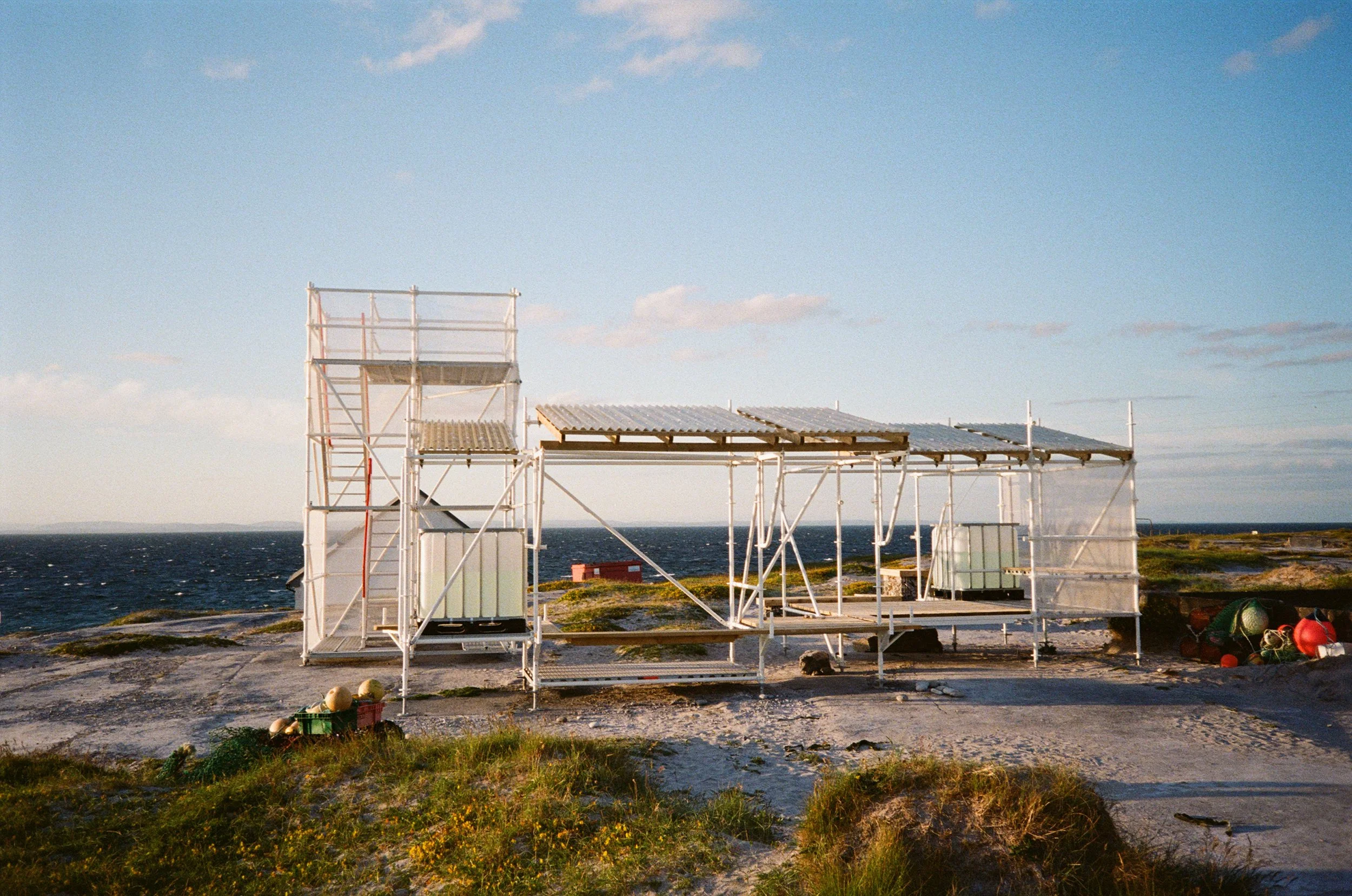 Coral Pavilion — Forerunner