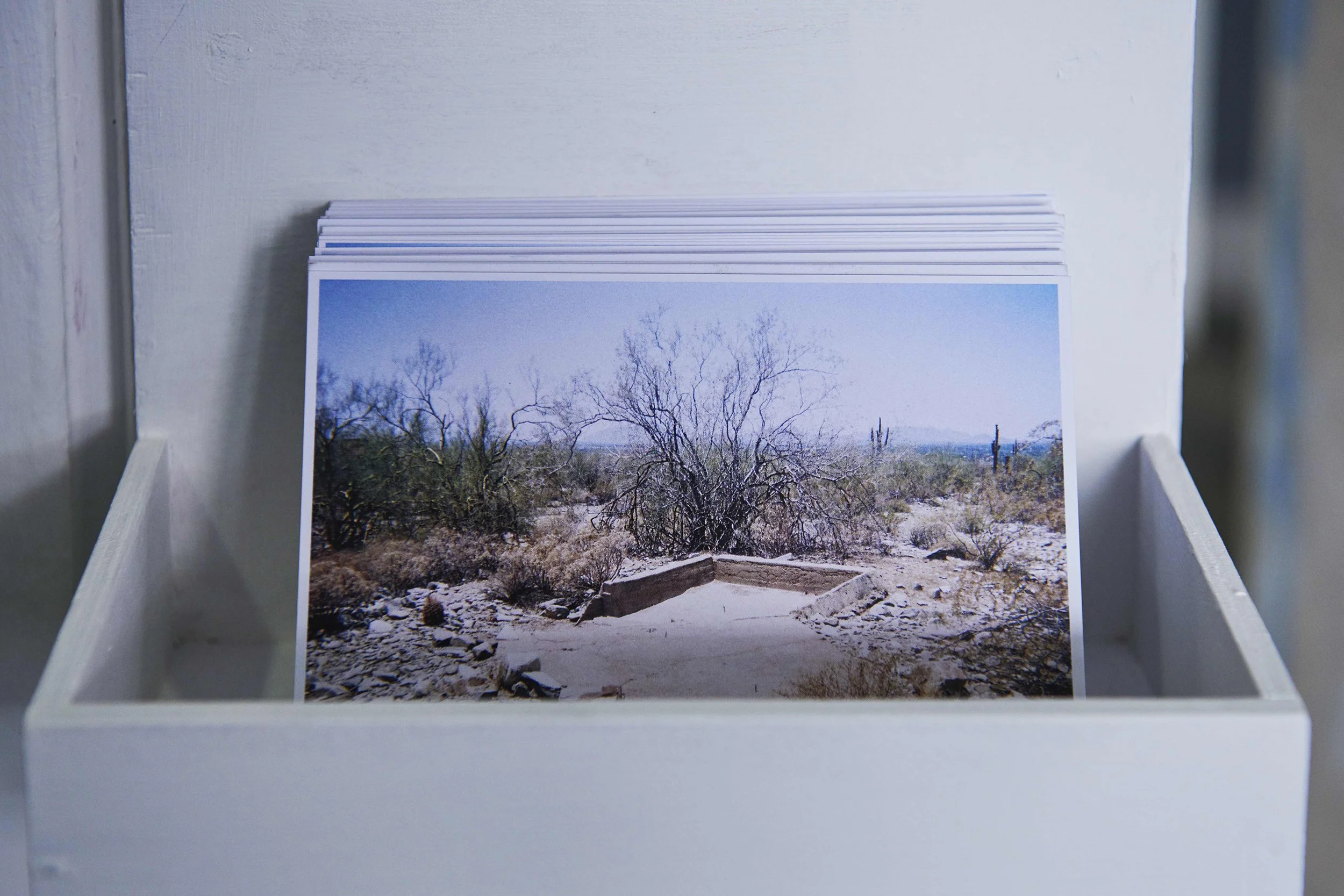 Brute Clues — Forerunner