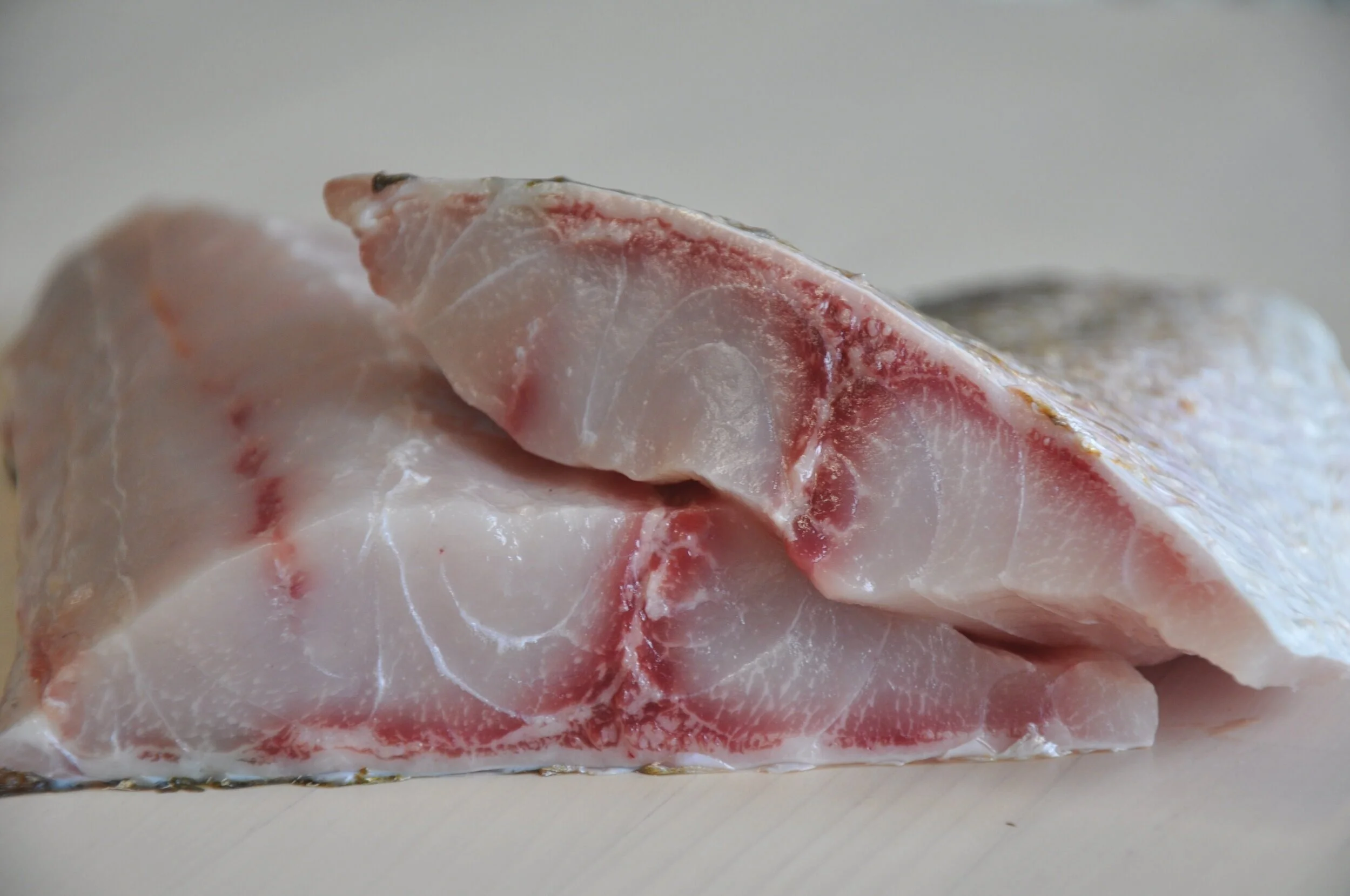 CleanFish