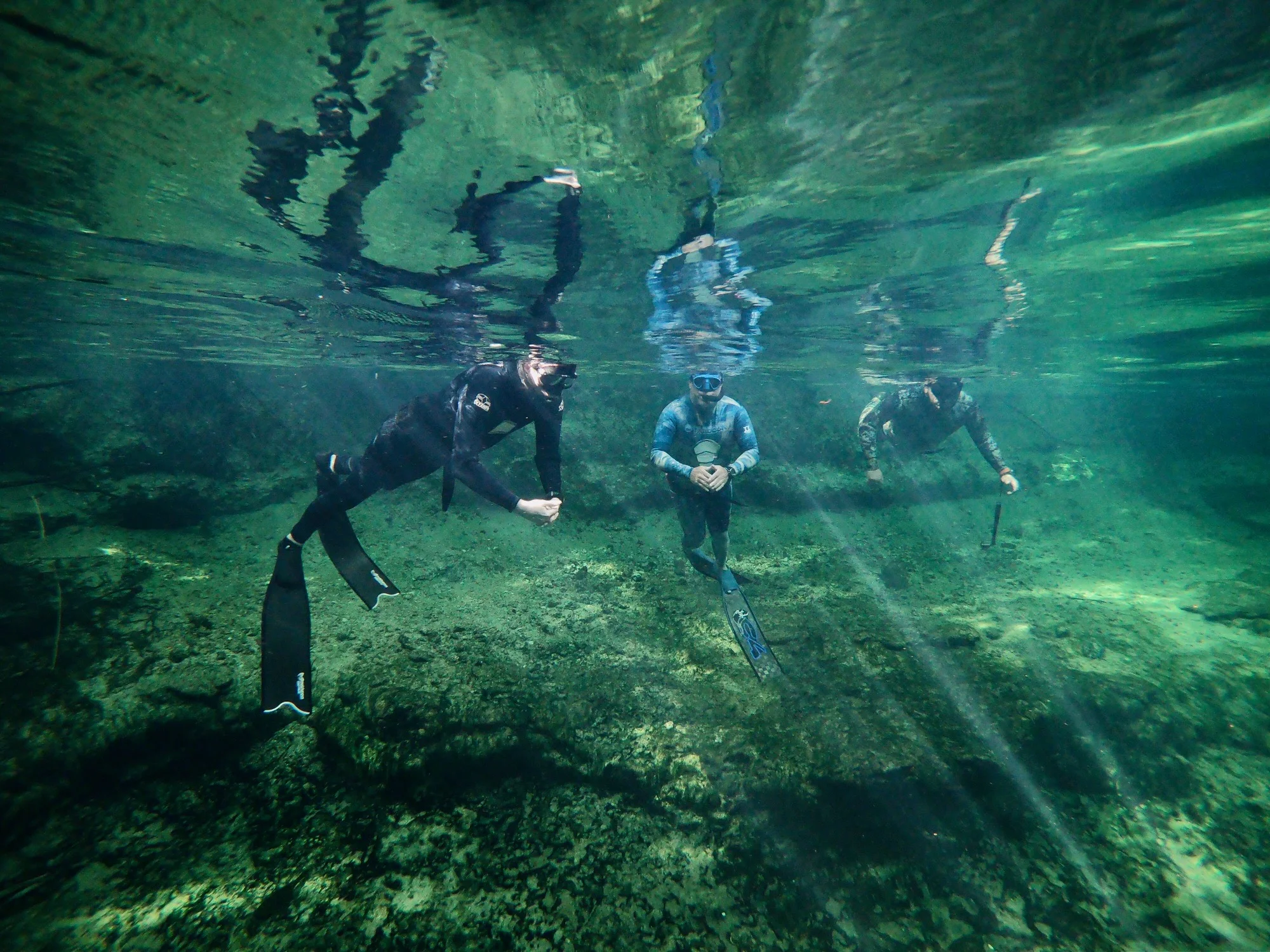 Freediving Photography — Freediving Courses And Coaching From Blue Water Freedivers