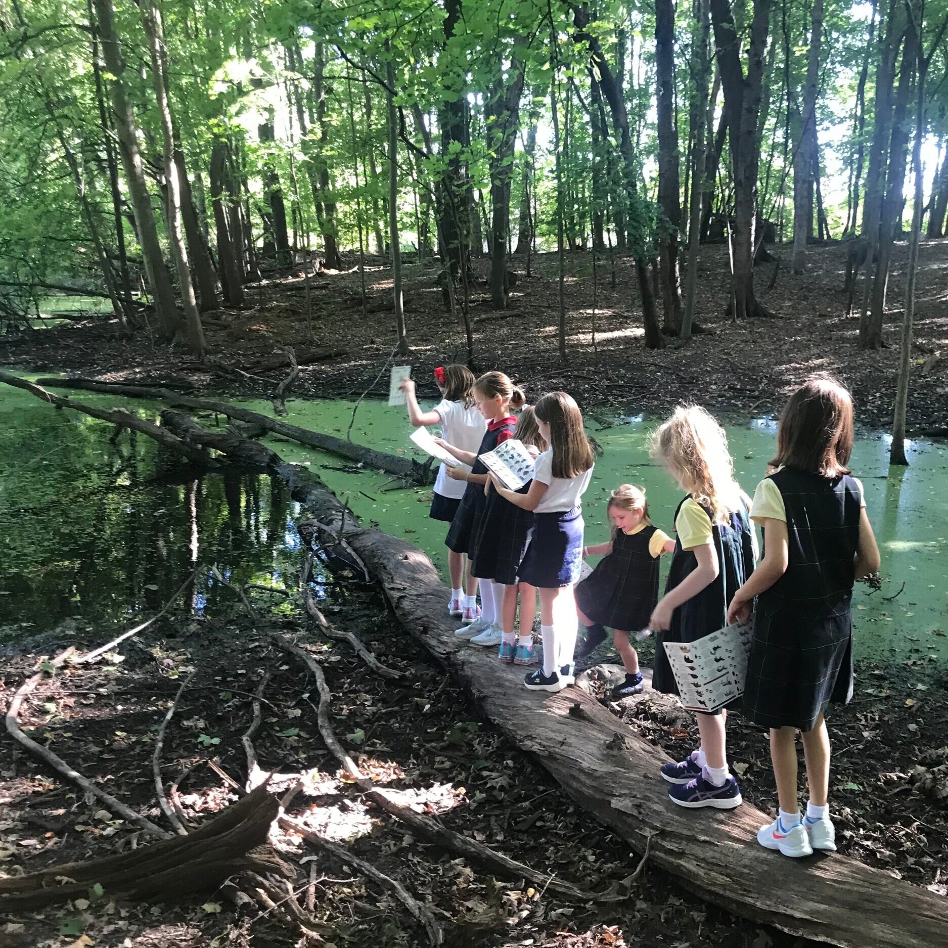 Firefly Forest School