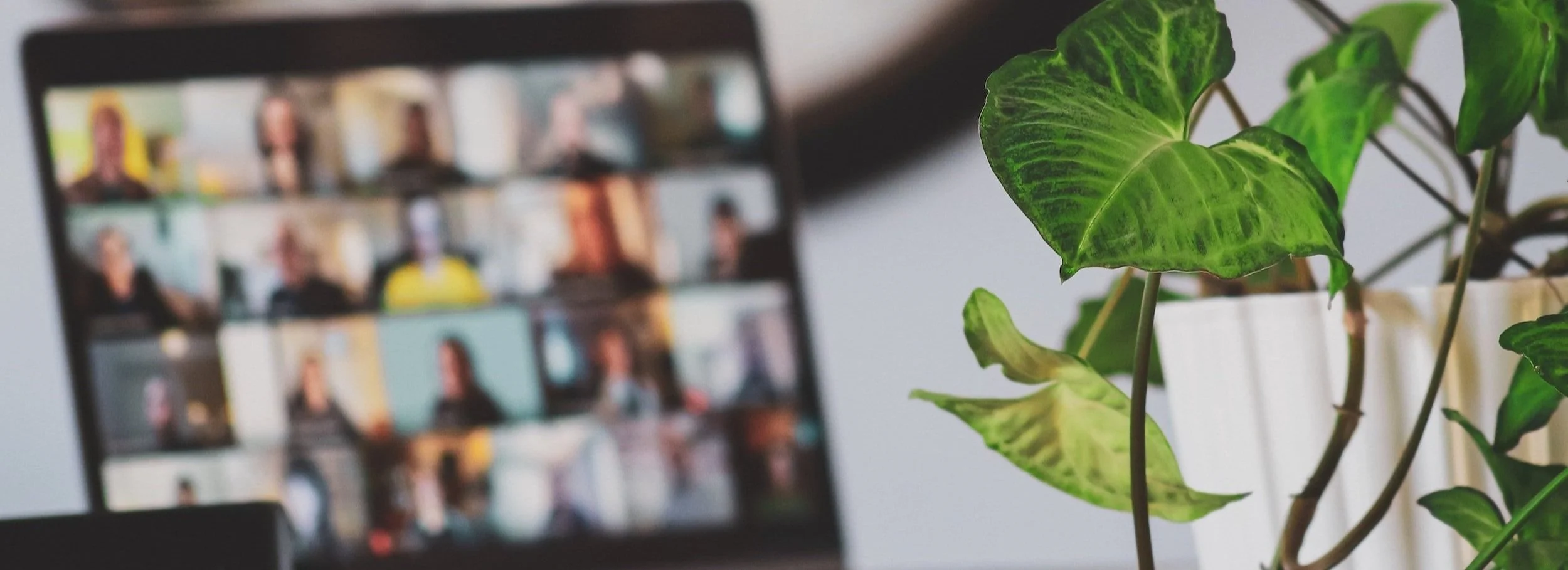 Discover your interests, values, & skills | Neurodiversity Network