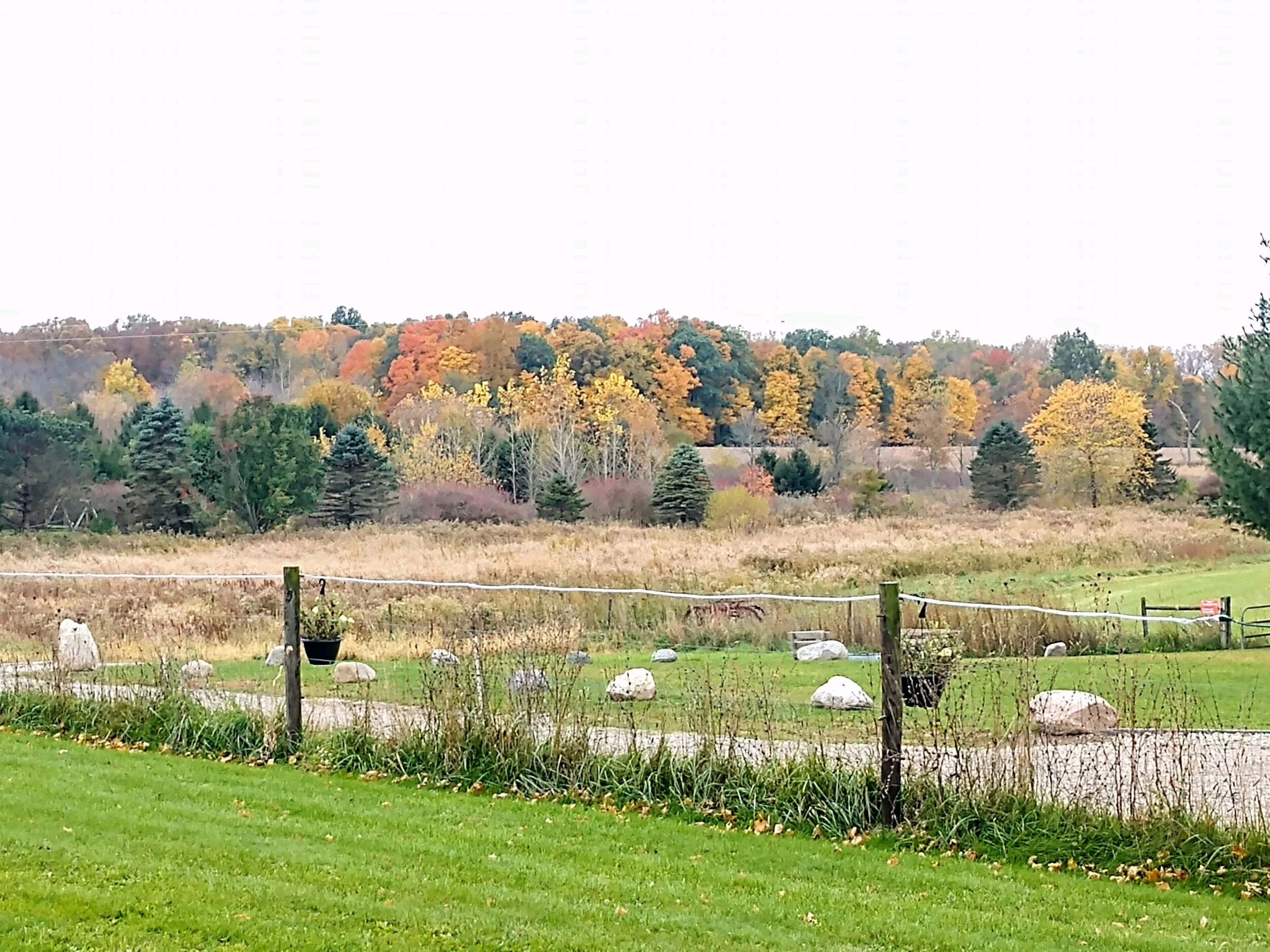 Gallery — Willow Wood Farm Venue
