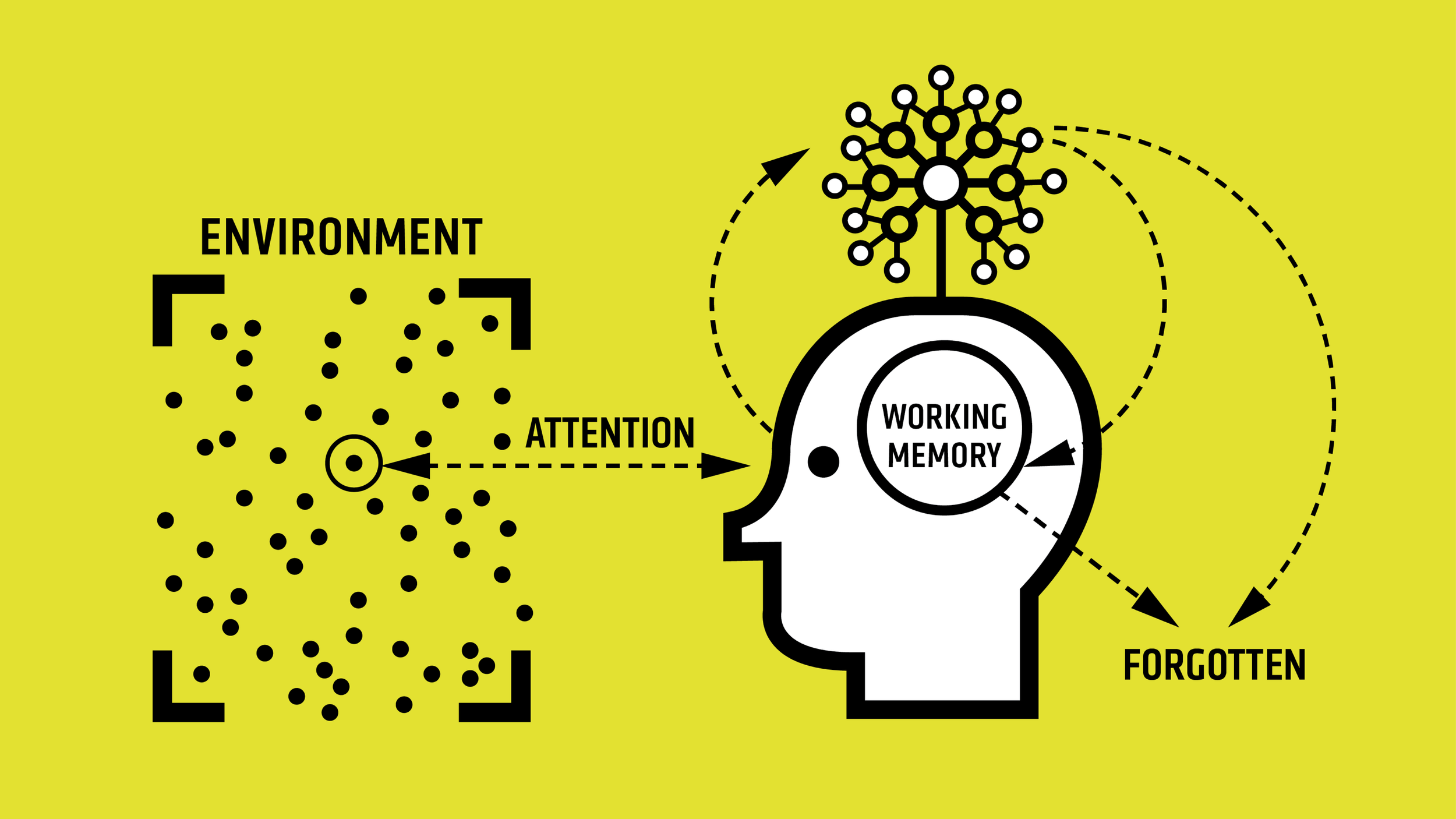 Blog — Jamie Clark Educational