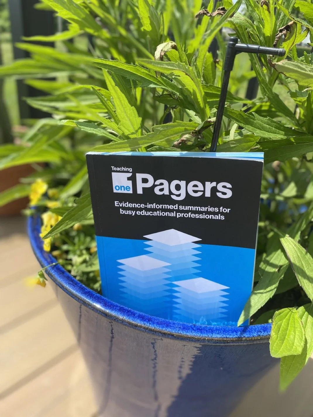 Jamie Clark Educational