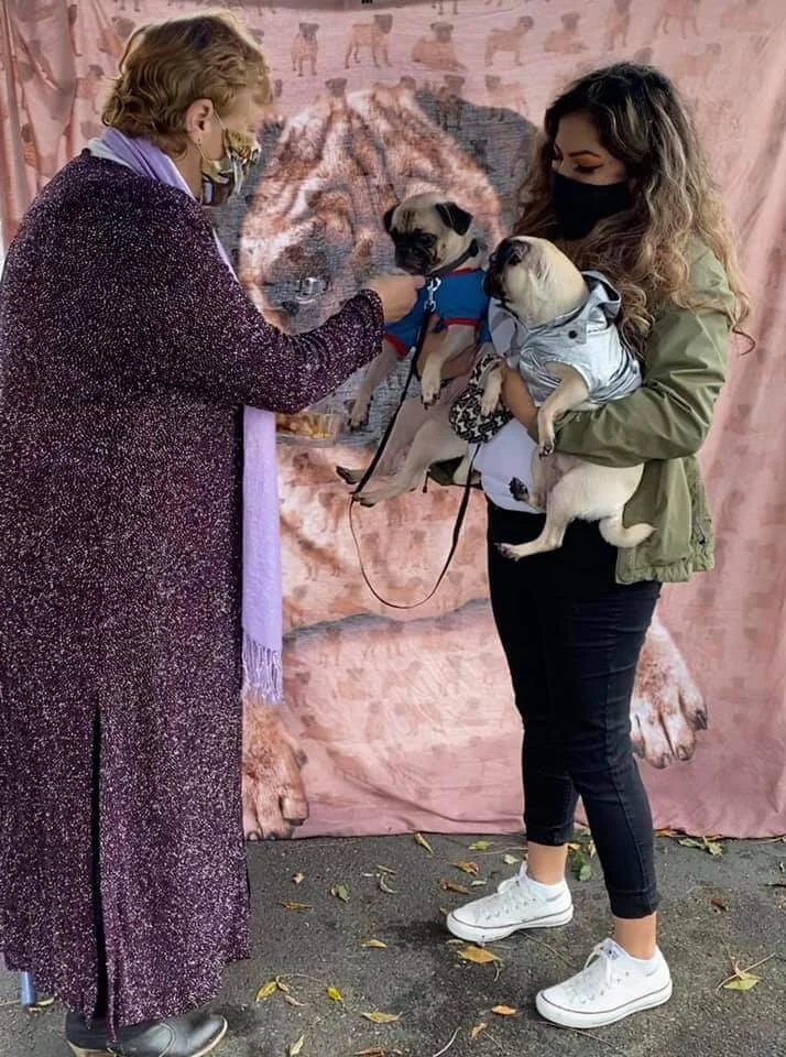 Blessing Of The Pugs — Church of Pug