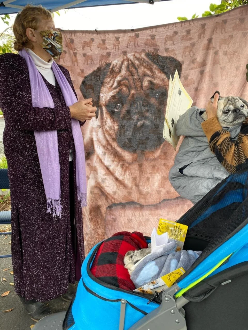 Blessing Of The Pugs — Church of Pug