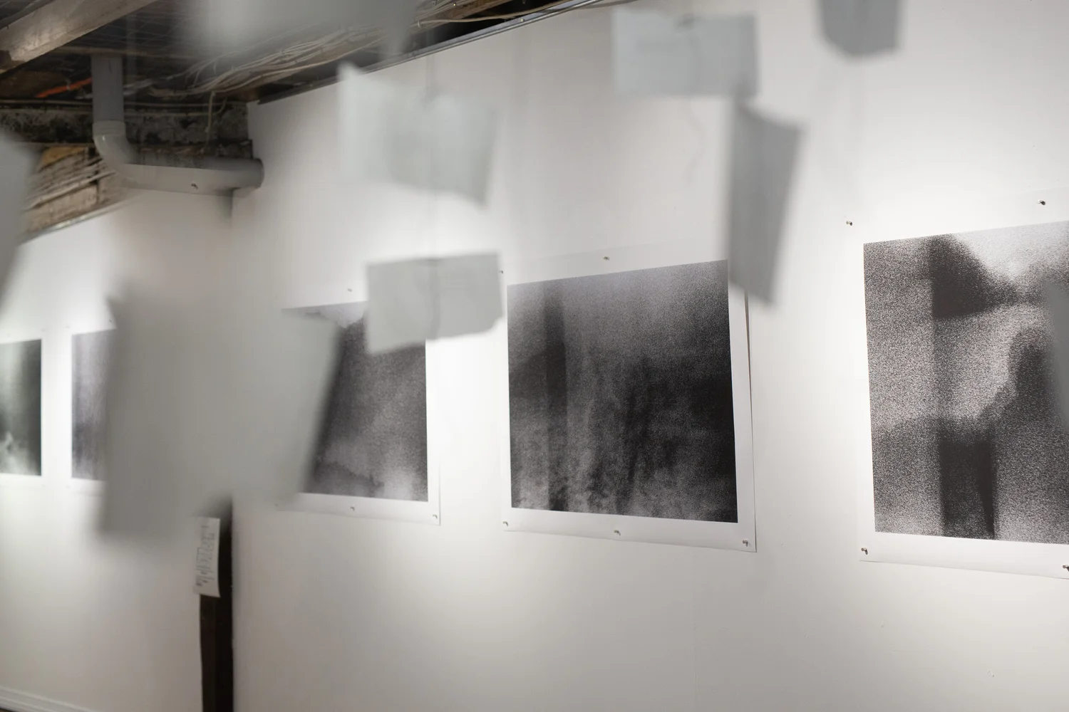 Blog — Cassie Sullivan