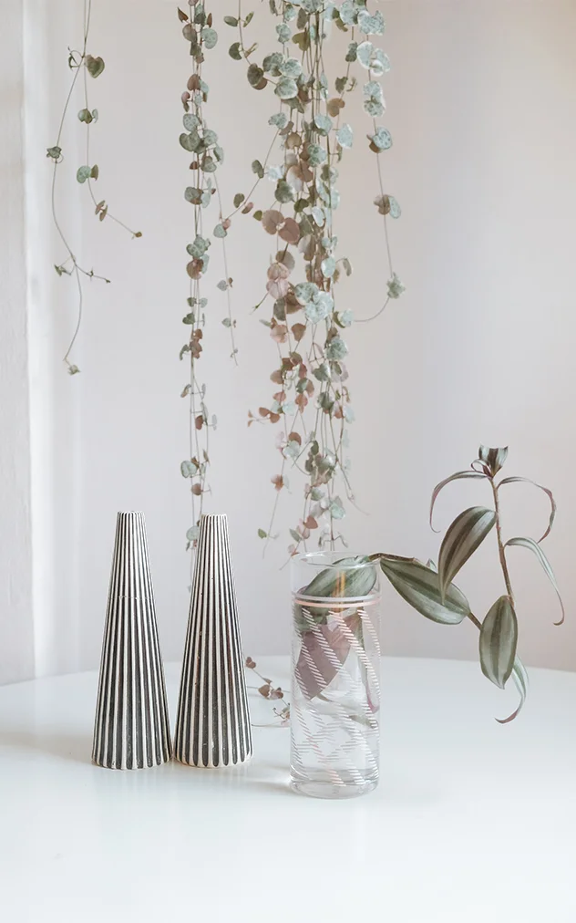 Botanica Studio - Houseplants & Installations