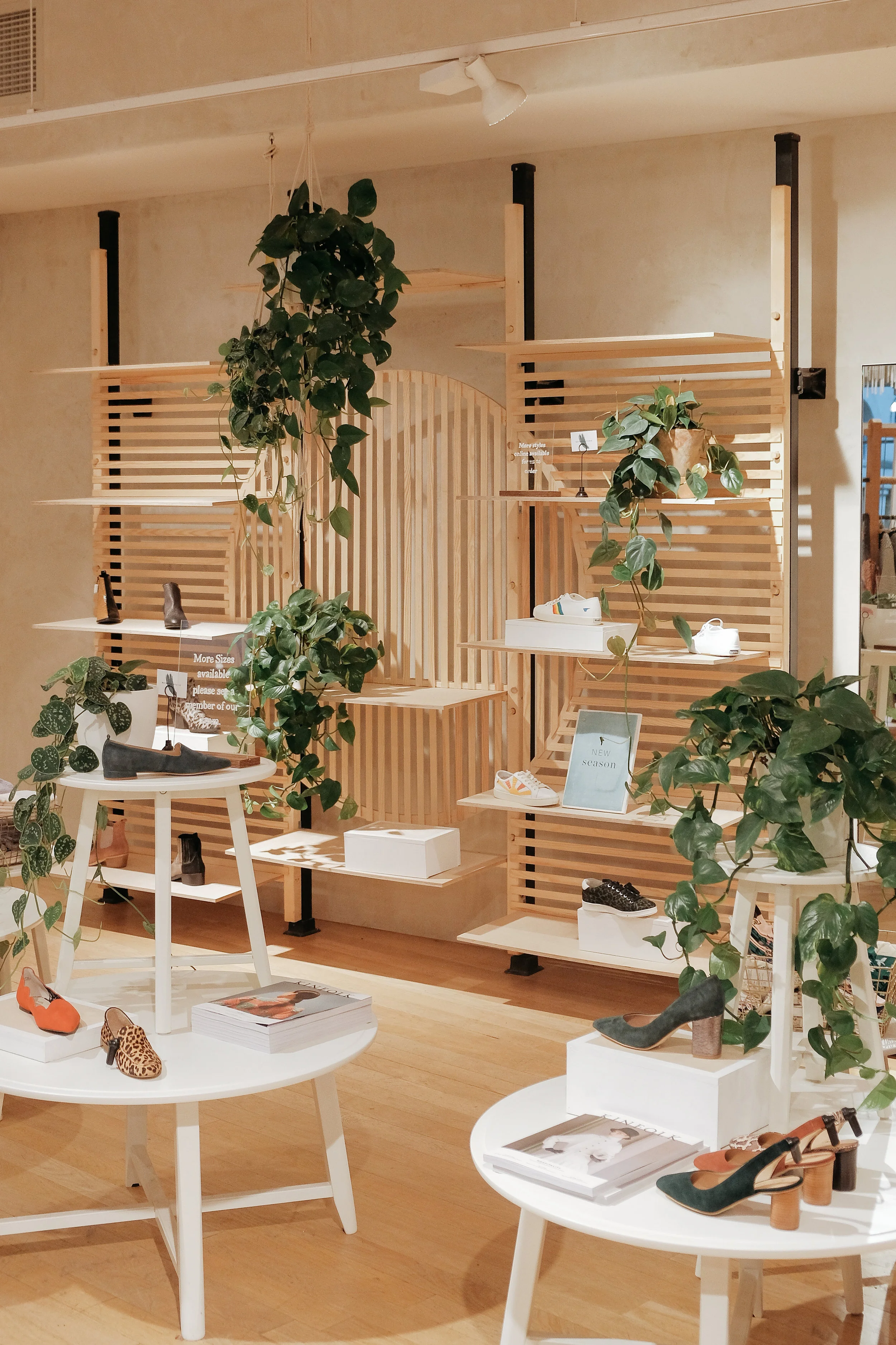 Botanica Studio - Houseplants & Installations