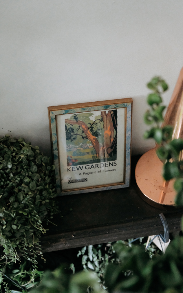 Botanica Studio - Houseplants & Installations