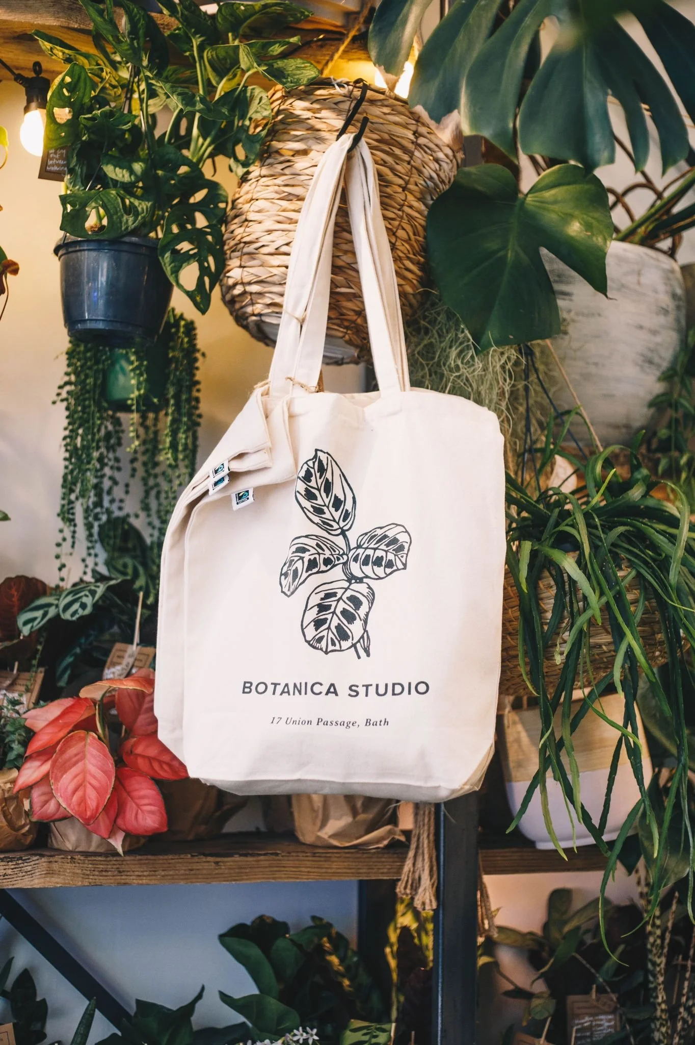 Shop Now — Botanica Studio