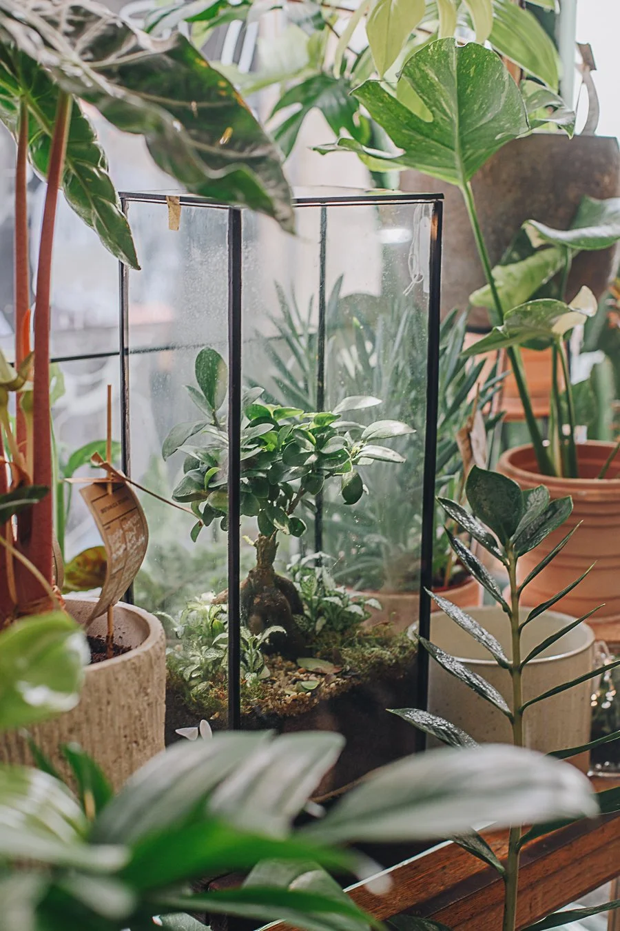 WORKSHOPS — Botanica Studio