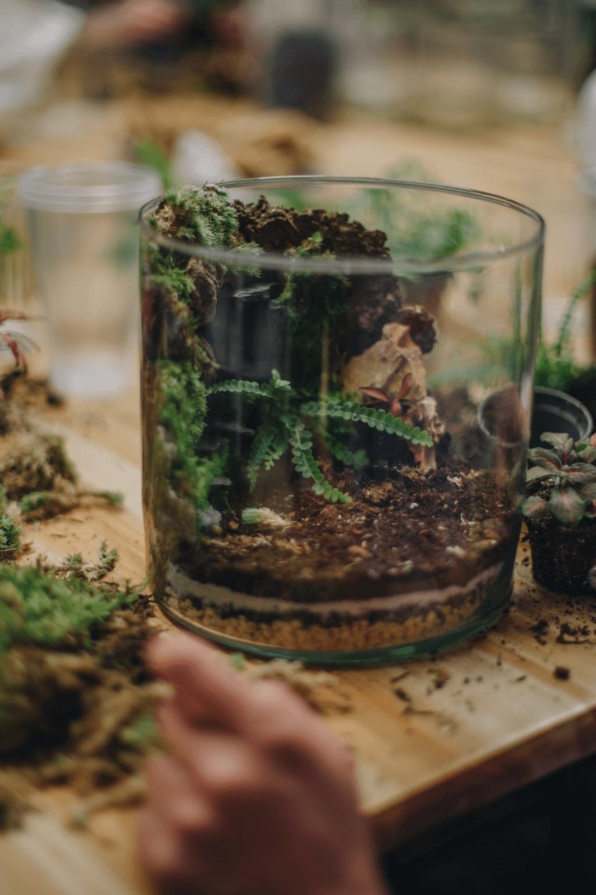 WORKSHOPS — Botanica Studio