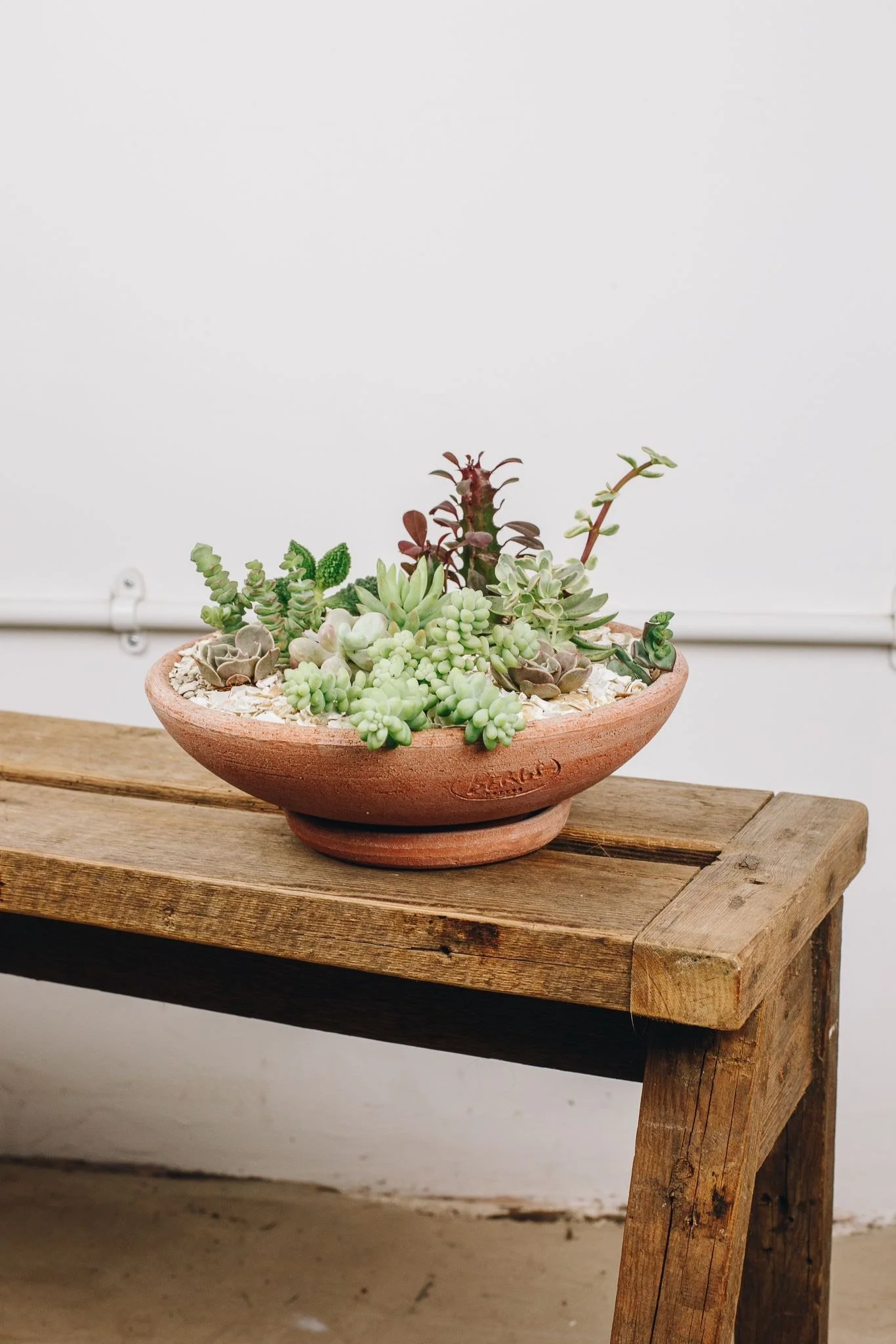 WORKSHOPS — Botanica Studio