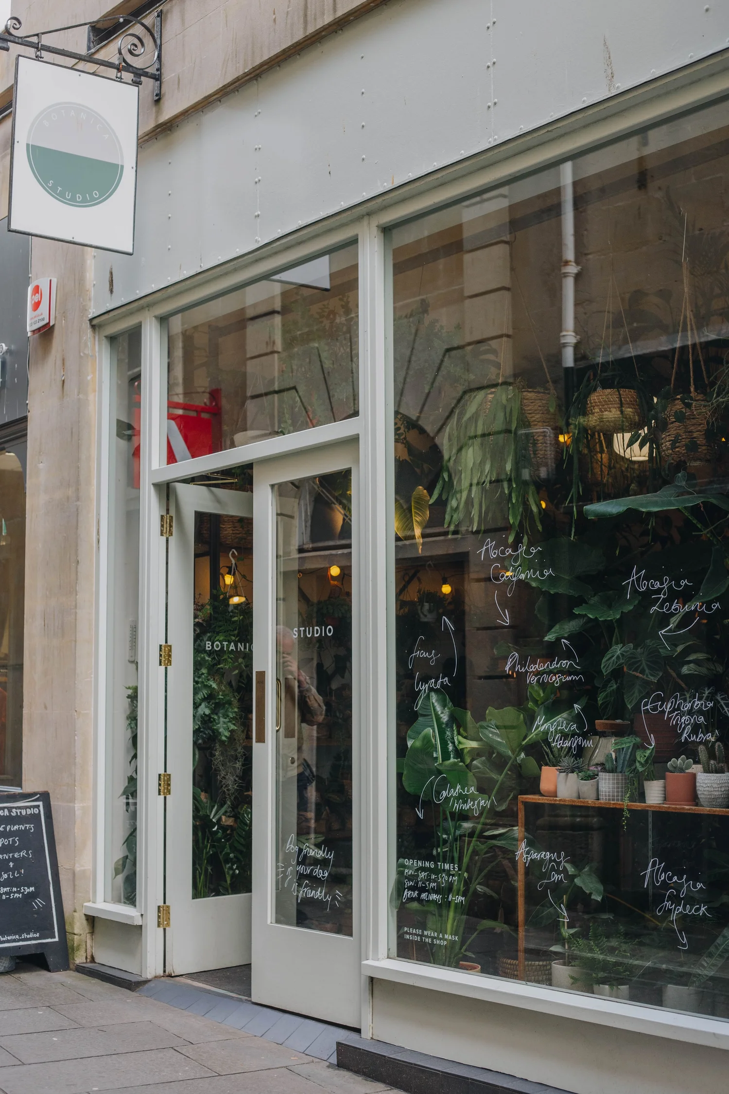 Botanica Studio - Indoor Plant Shop