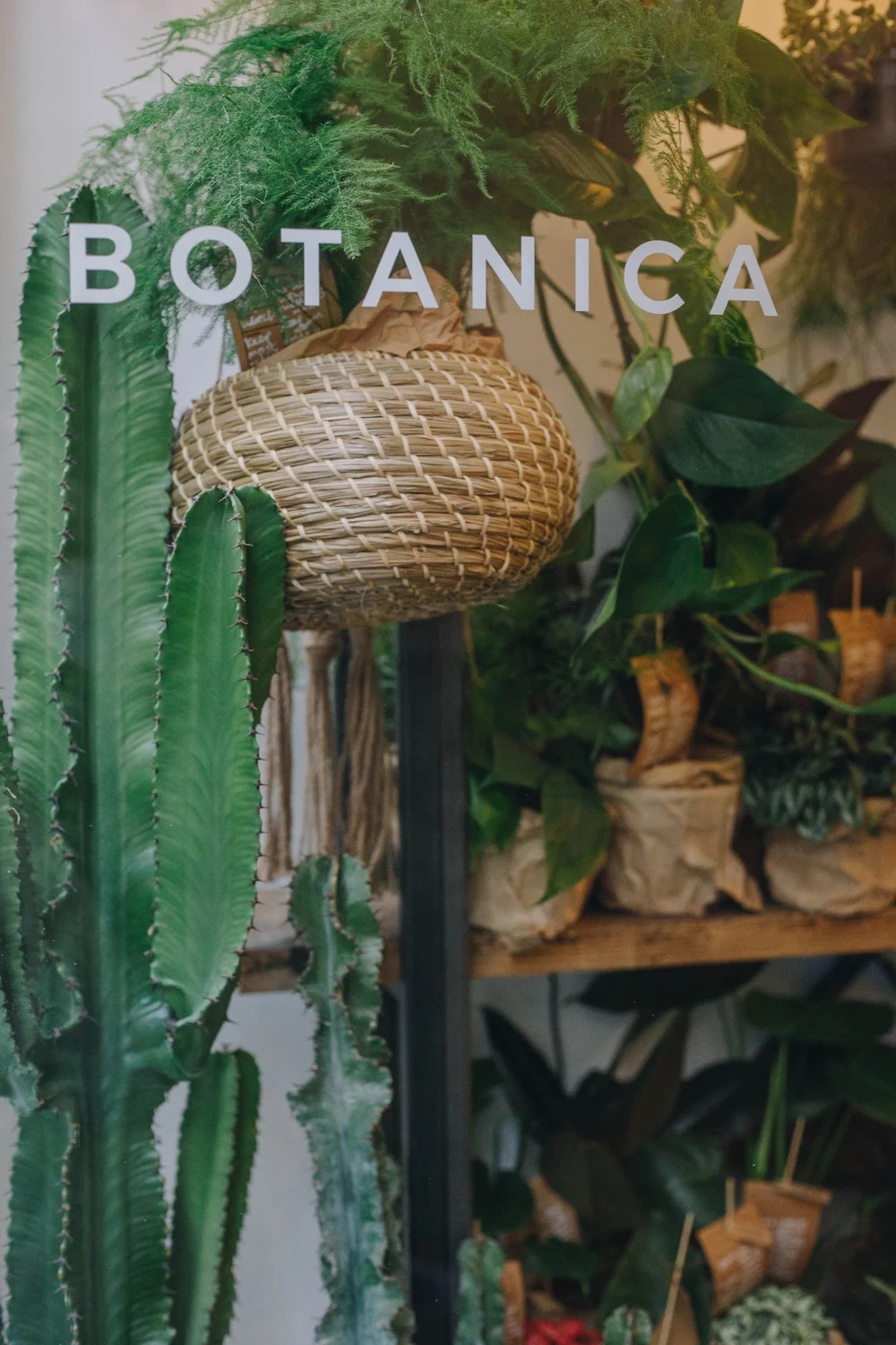 Botanica Studio - Indoor Plant Shop