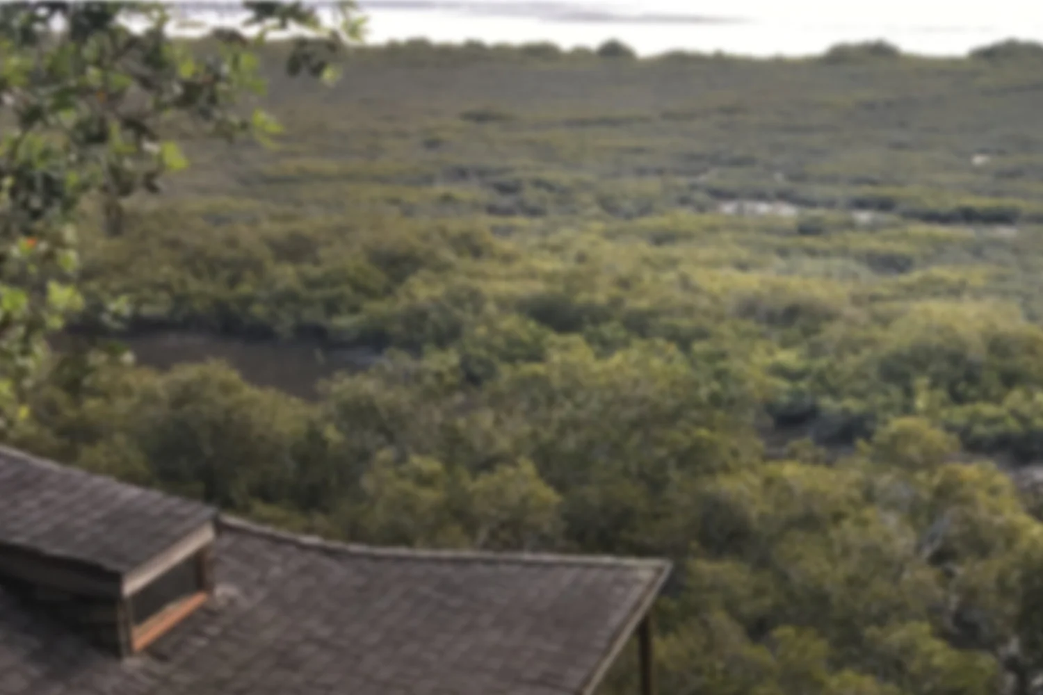 TARN — Landscape design; Gallery