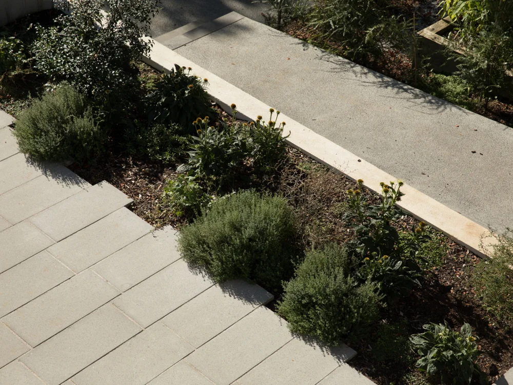 TARN — O2 Landscapes Work