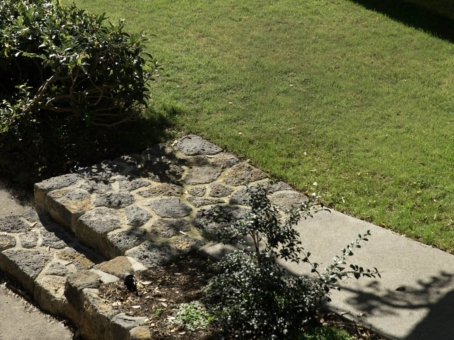 TARN — O2 Landscapes Work