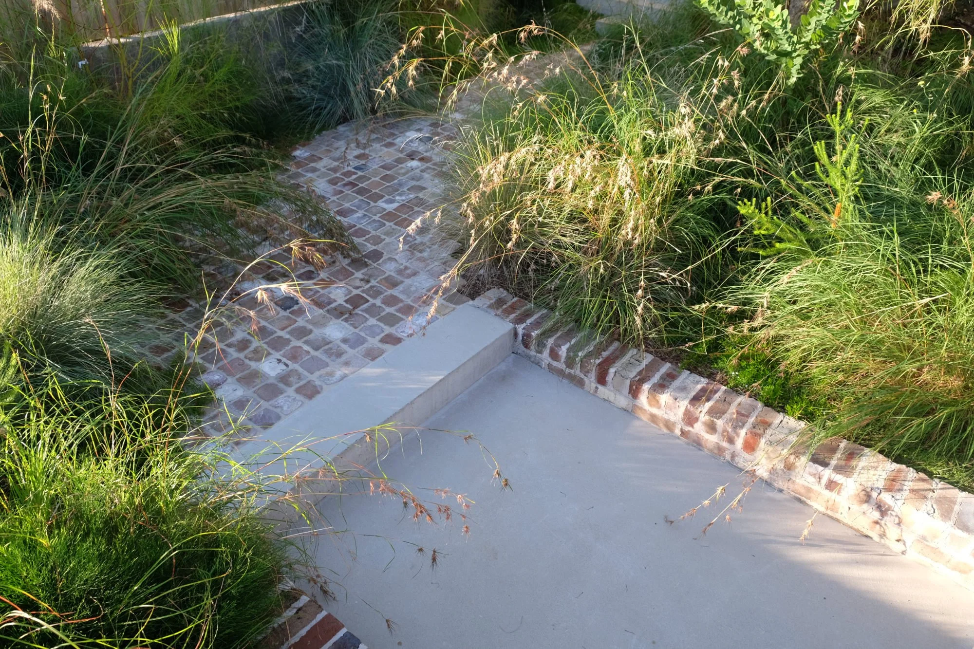 TARN — Sandstone garden