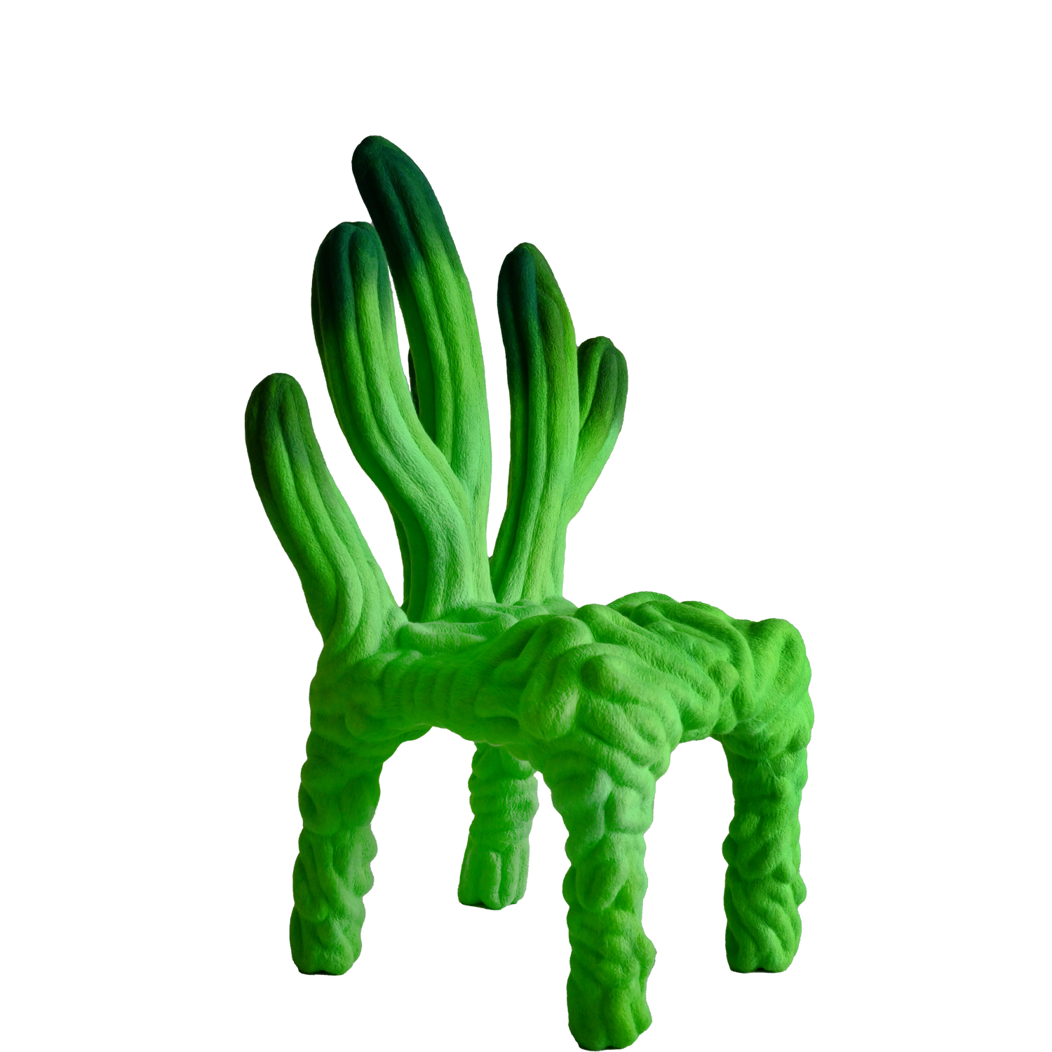 ABOUT — STUDIO LIAM LEE