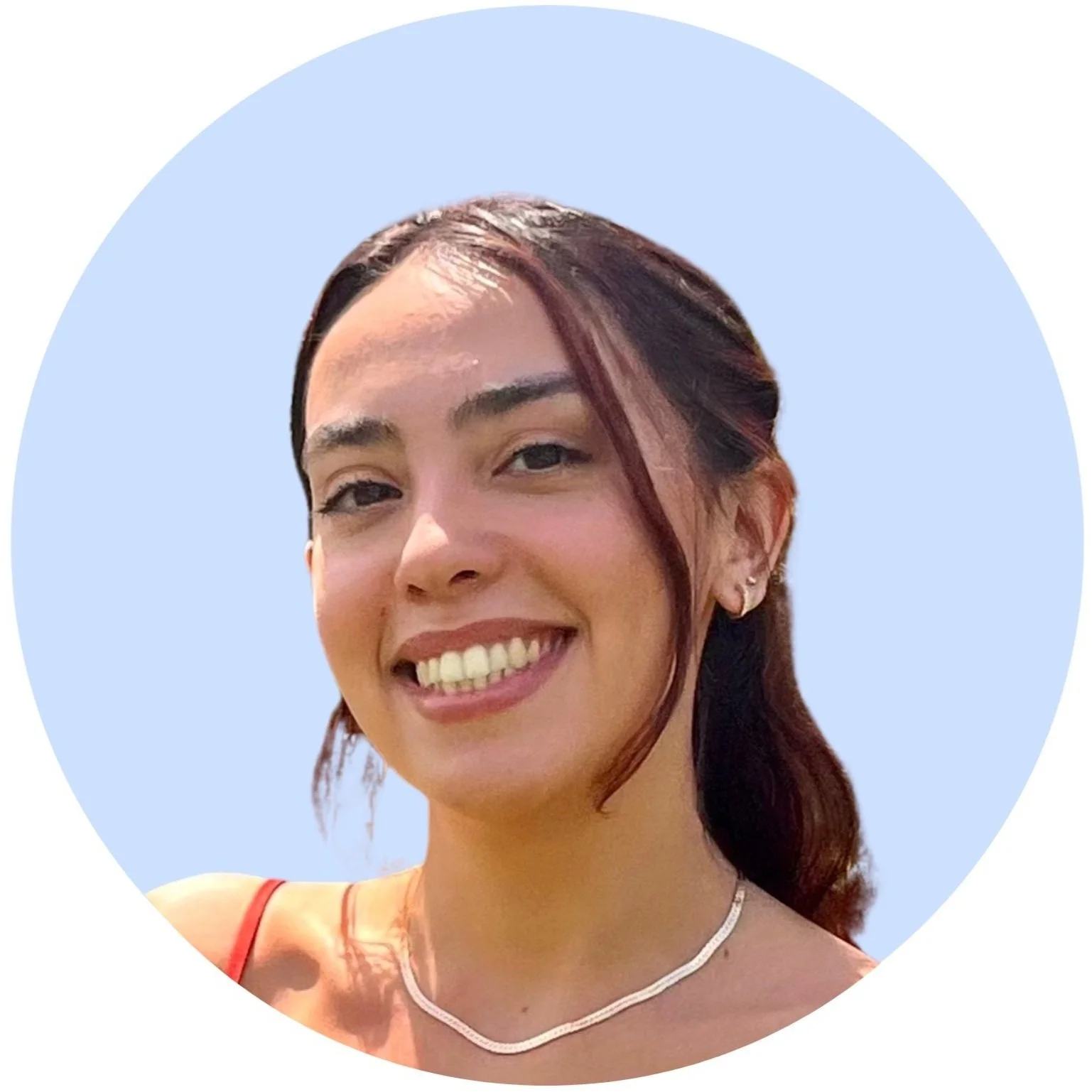 Meet My Team — Senator Gounardes' Community Portal