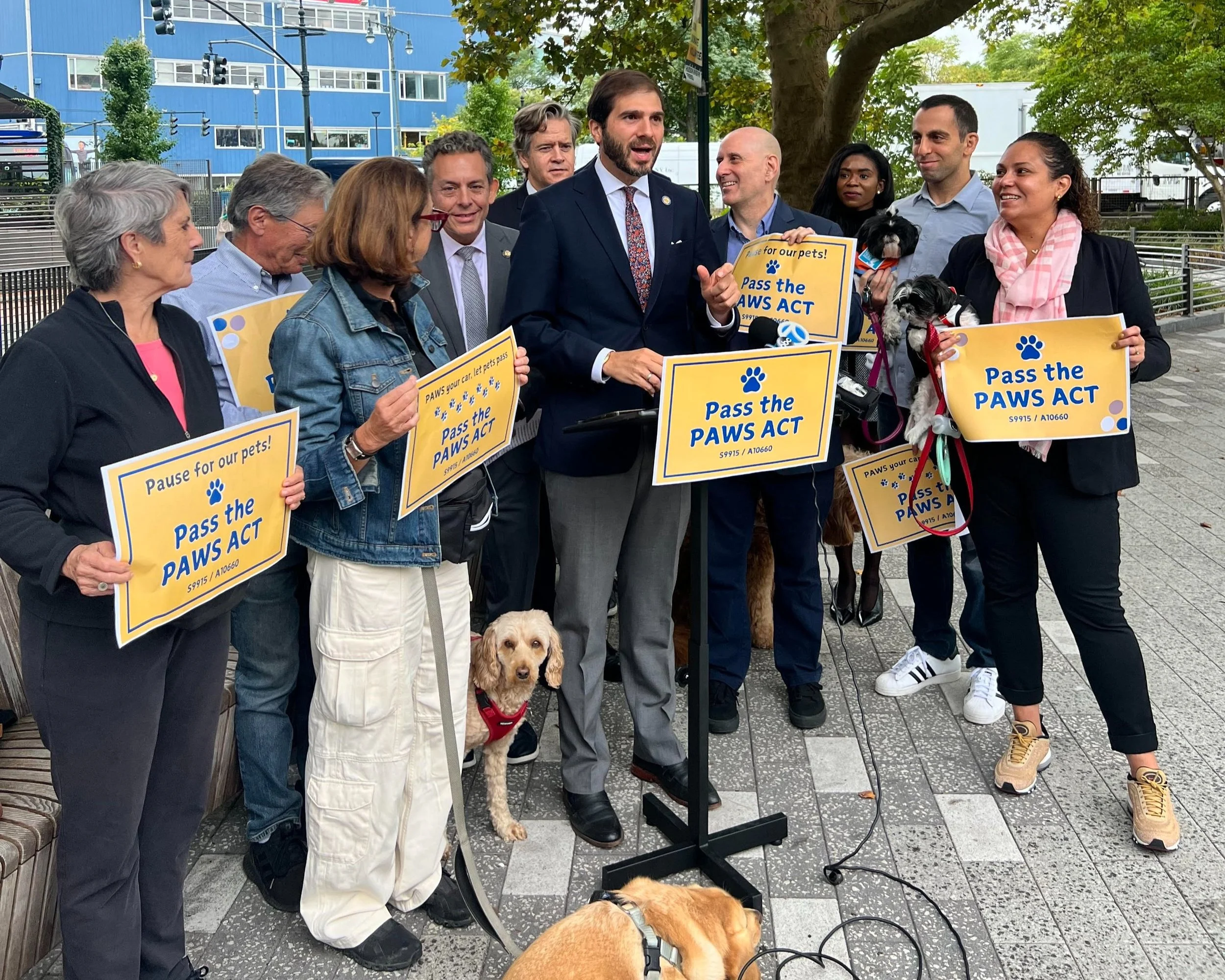 Sen. Gounardes Introduces PAWS Act to Penalize Drivers for Injury ...