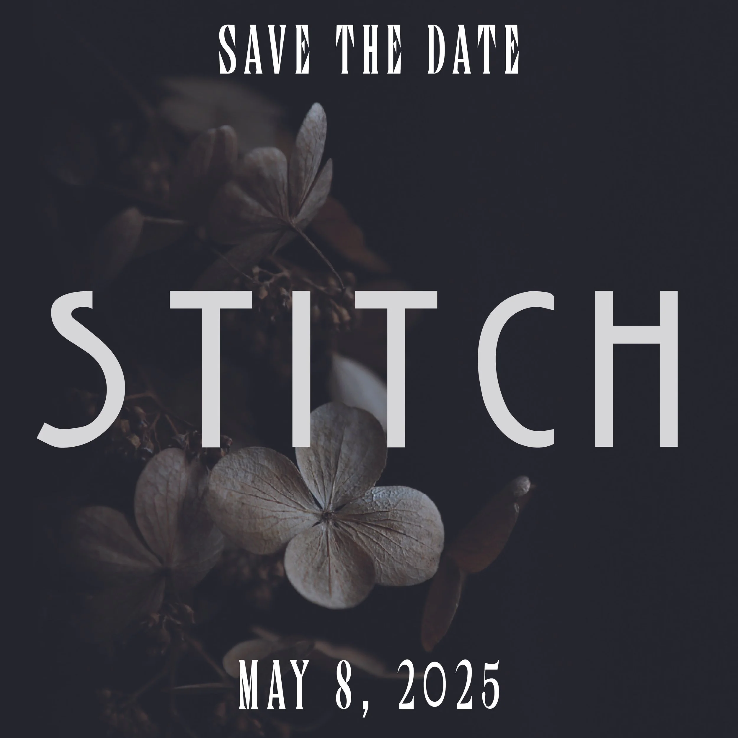 STITCH 2025 — IIDA Illinois Chapter