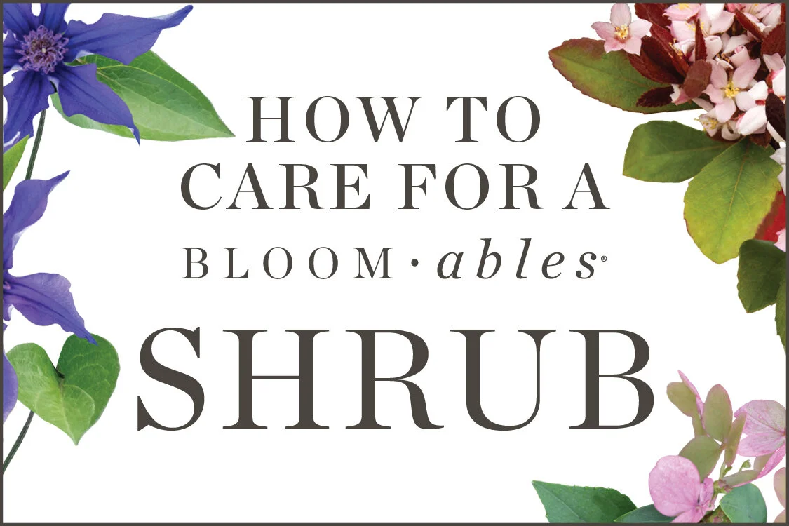 Bloomables®