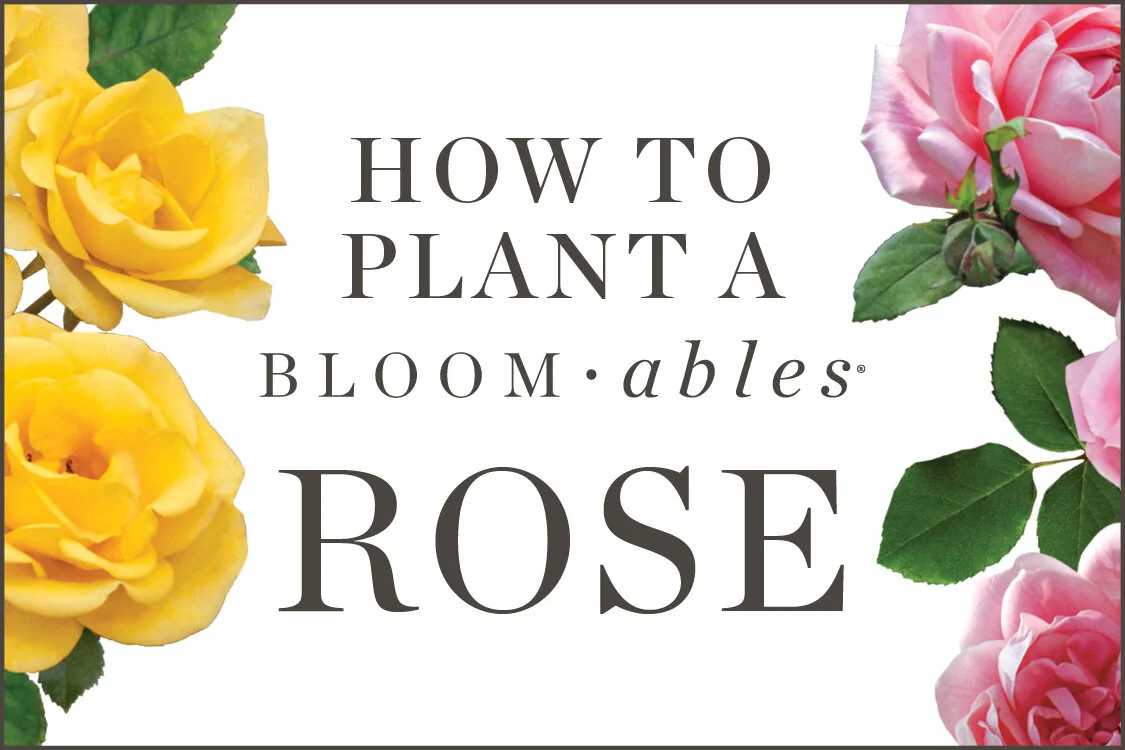 Bloomables®