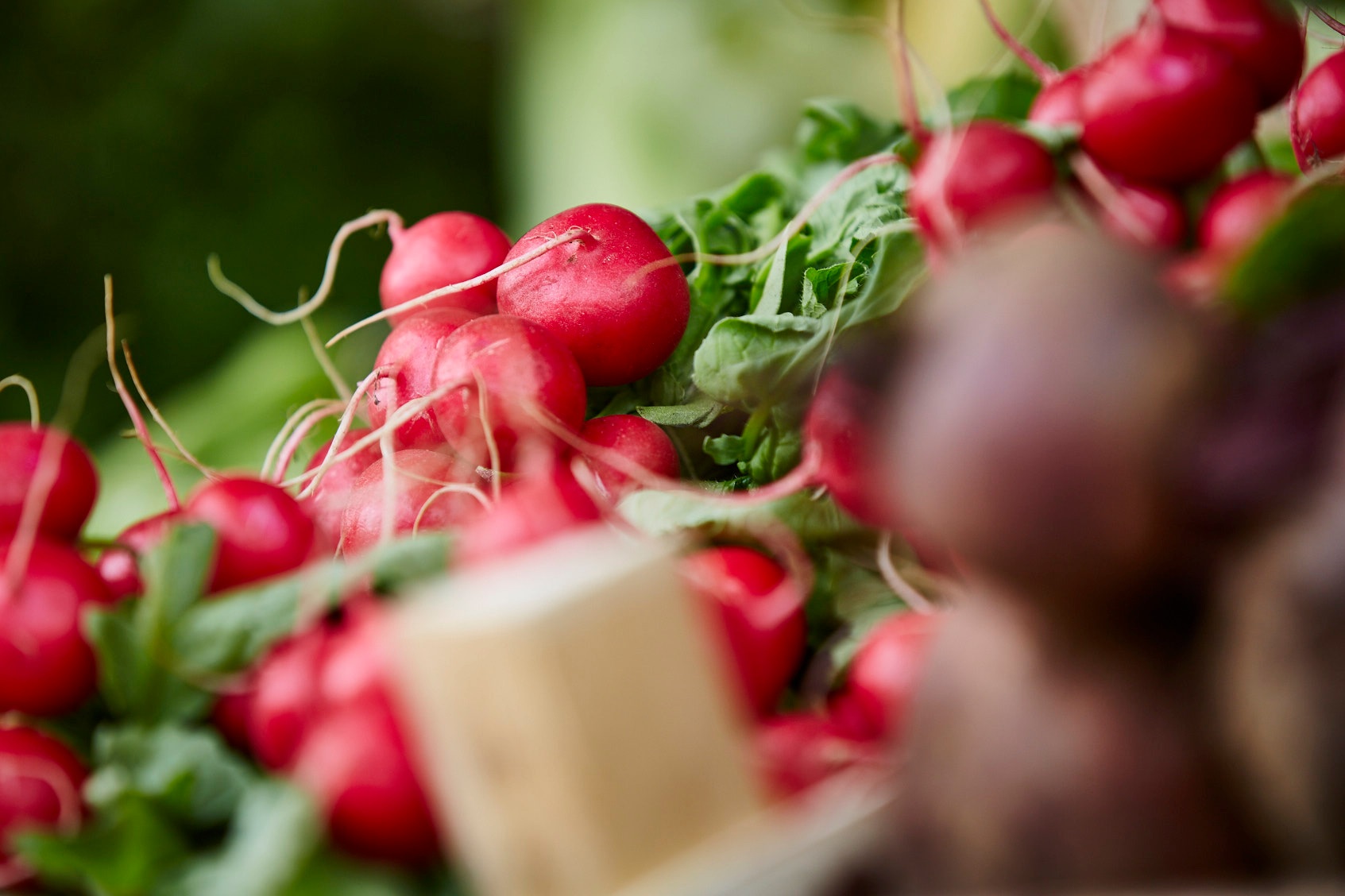 Cobbs Manydown — Cobbs Farm Shop
