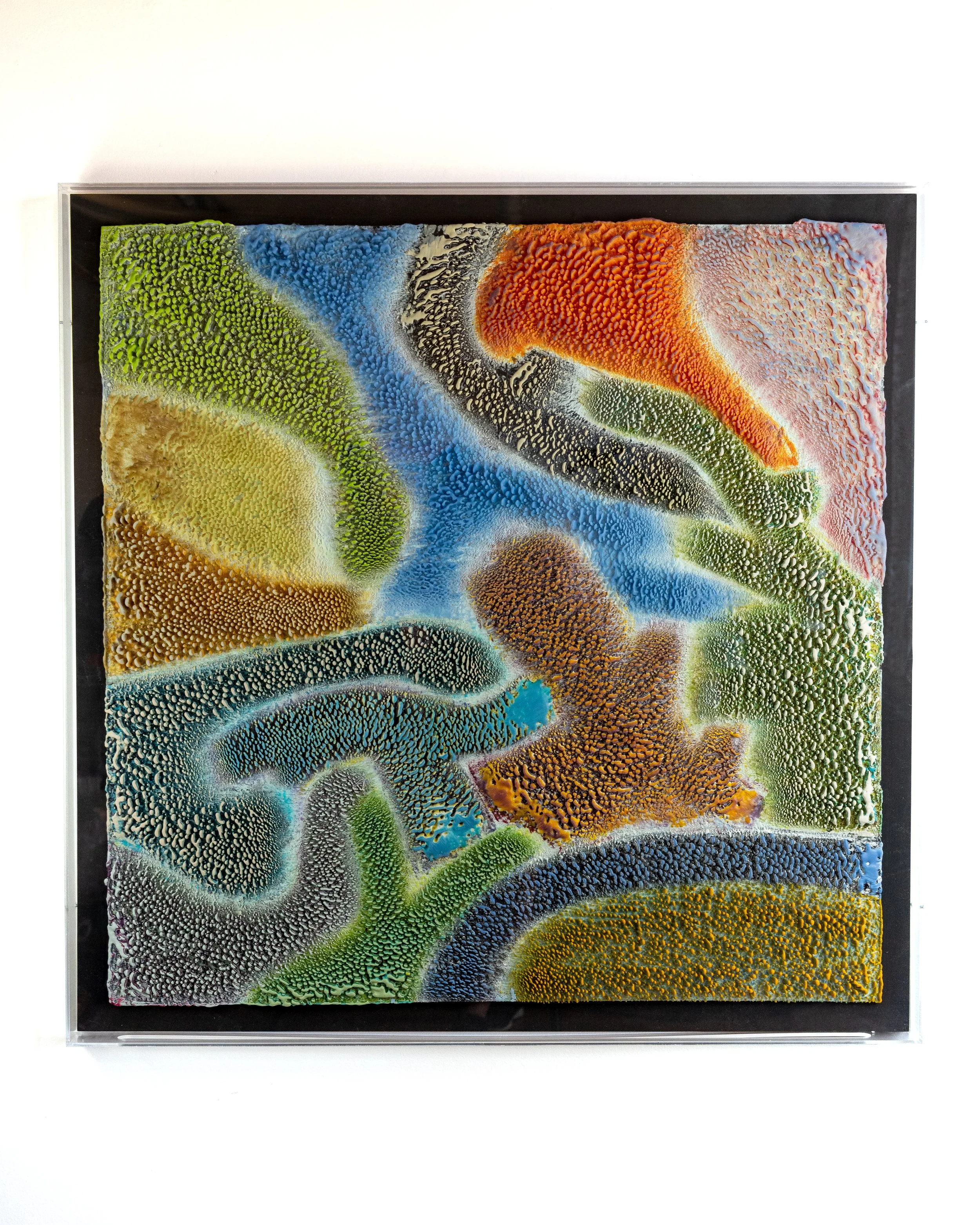 Matthew Gallagher My Garden HEDGE GALLERY matthew-gallagher-my-garden-hedge-gallery