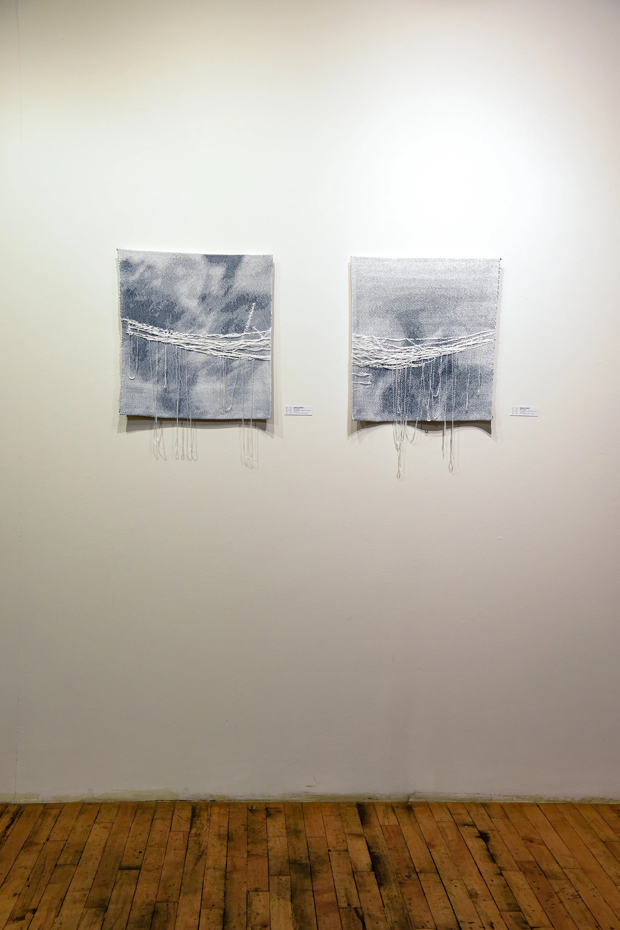 Jessica Pinsky - Blurred #3 — HEDGE GALLERY