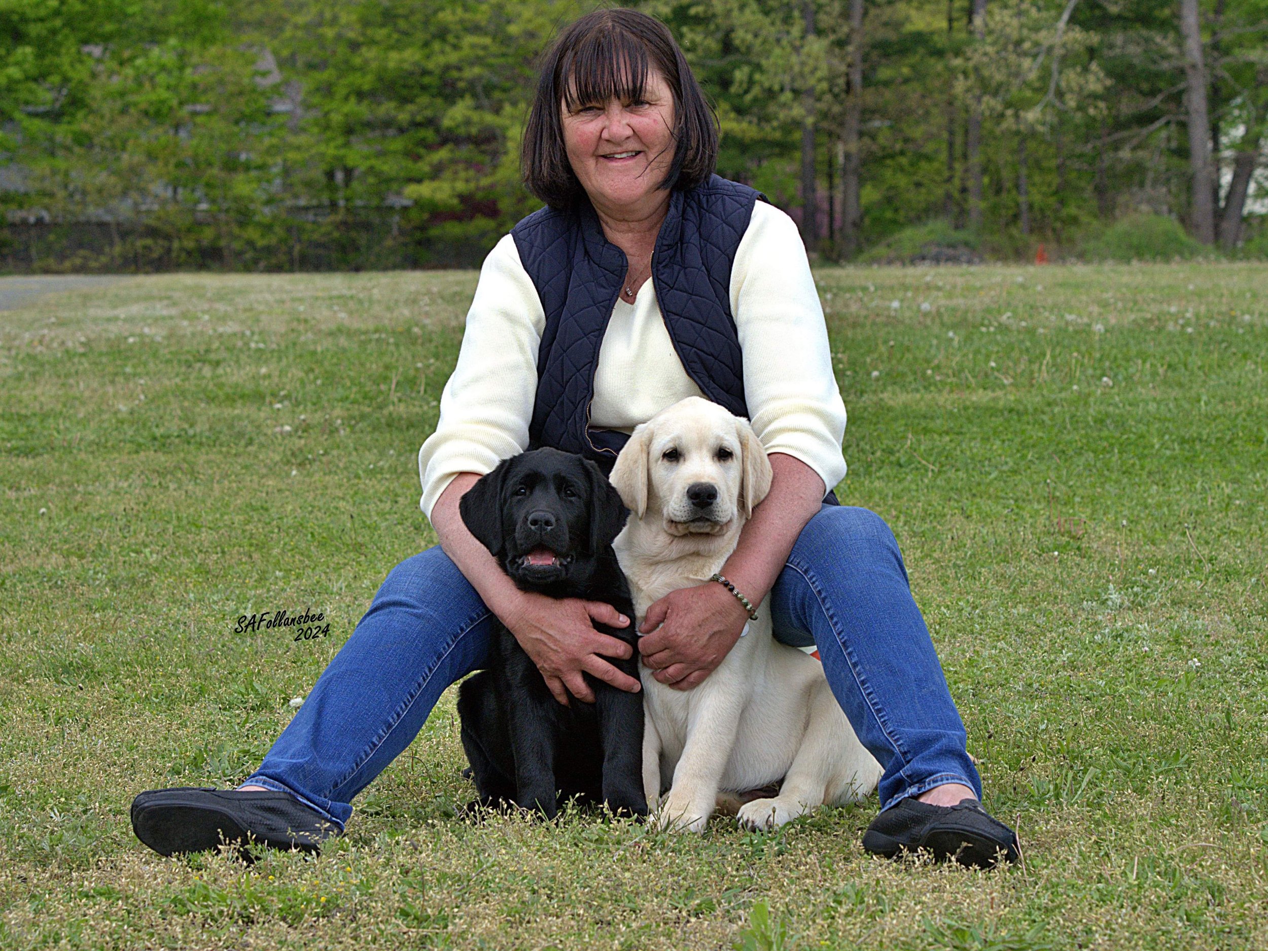Atlantic Labrador Retrievers