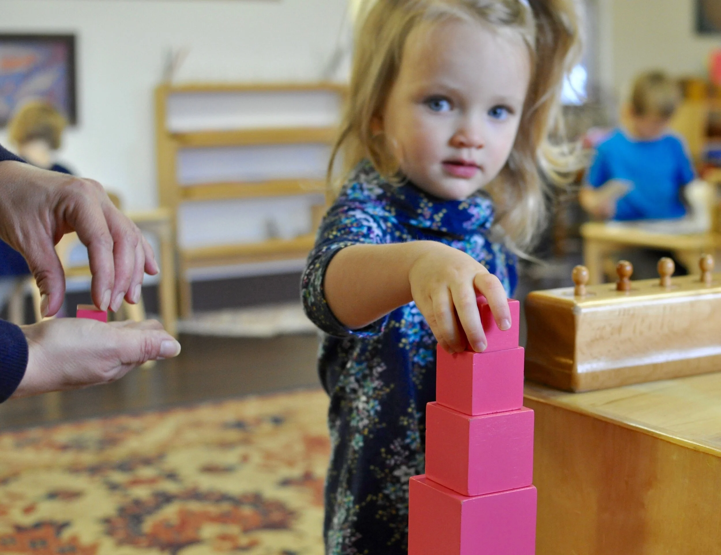 Admission Process — Montessori Lab School at Grand Center