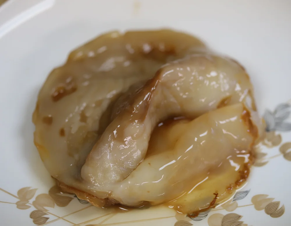 Kombucha Scoby