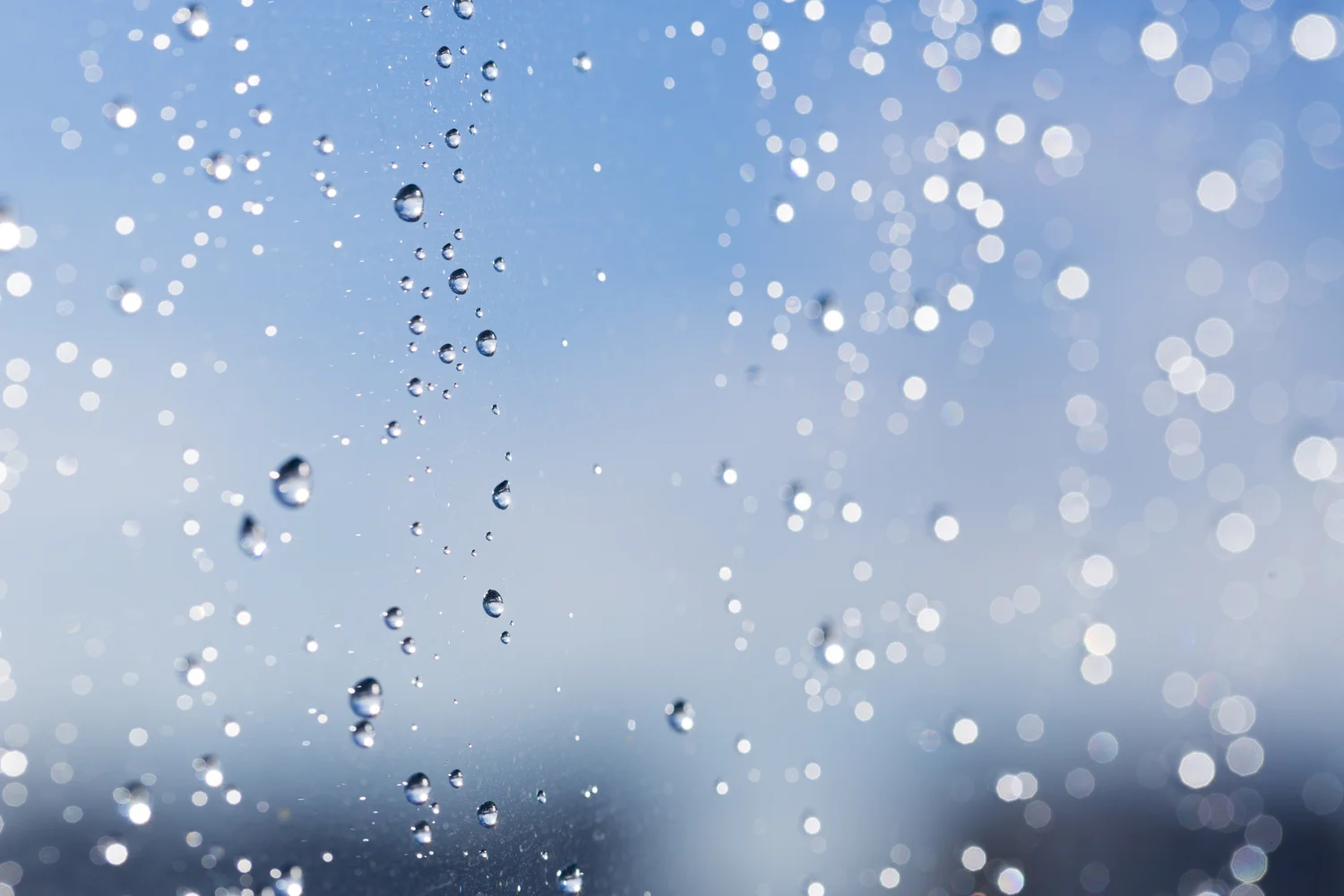 Alans Window Cleaning - Professional Commercial & Residential Window ...