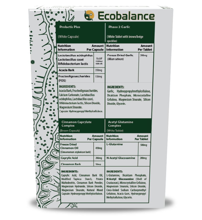 ECOBALANCE — AquaSol