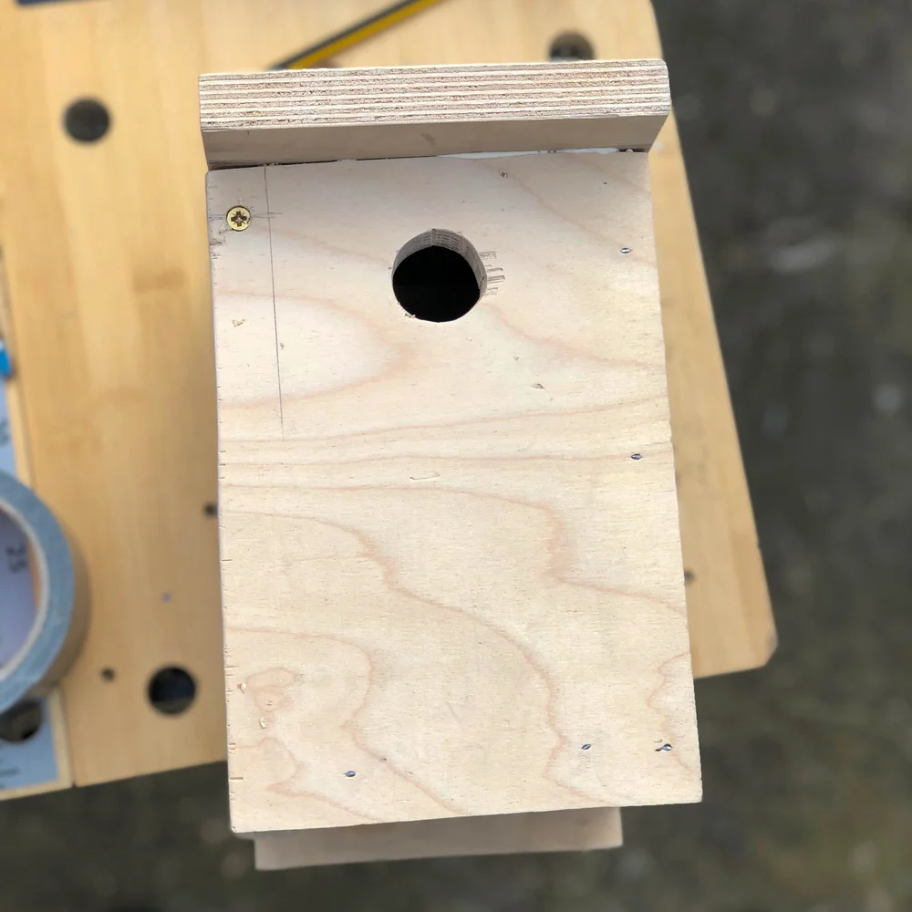 BIRD BOX BUILDING — Simple Shape