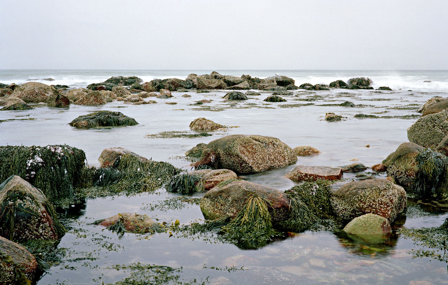 Intertidal — JESSE BURKE - STORYTELLER