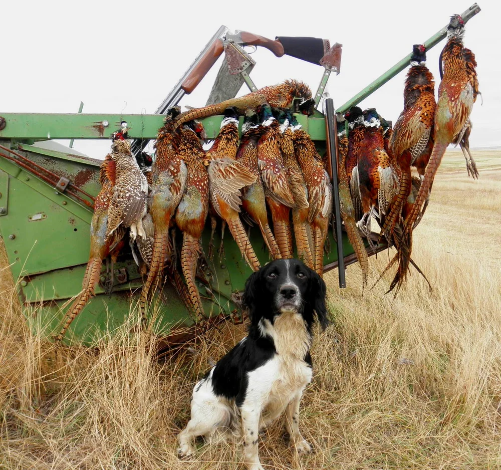 About Us — High Prairie Farms